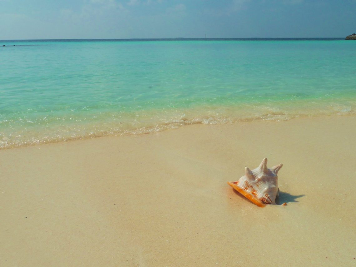 Best Getaway Beaches - Jan Adventures