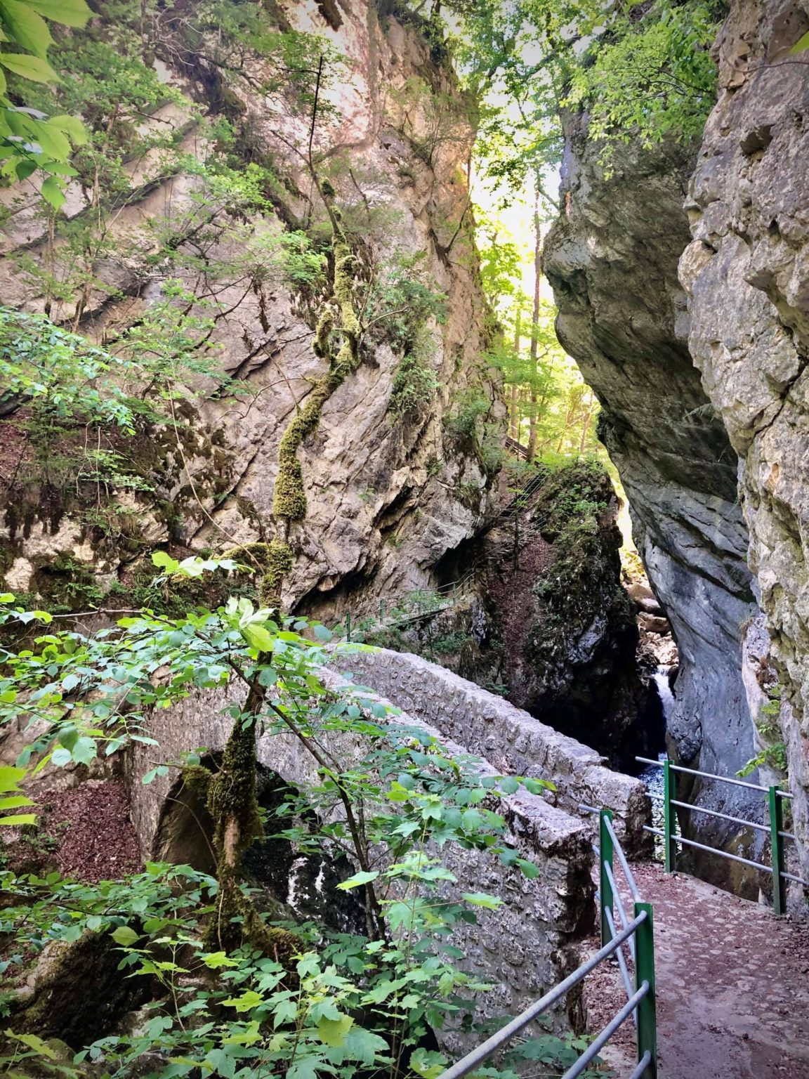 Best Gorge Hikes in Switzerland - Jan Adventures
