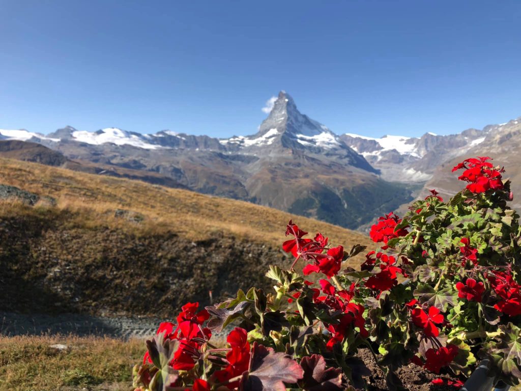 5 Lakes Walk in Zermatt Switzerland, a Must-Do! | Jan Adventures