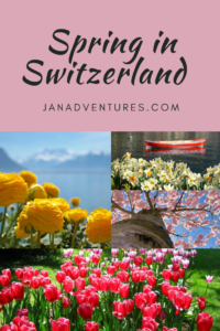 Discover Spring in Switzerland | Jan Adventures