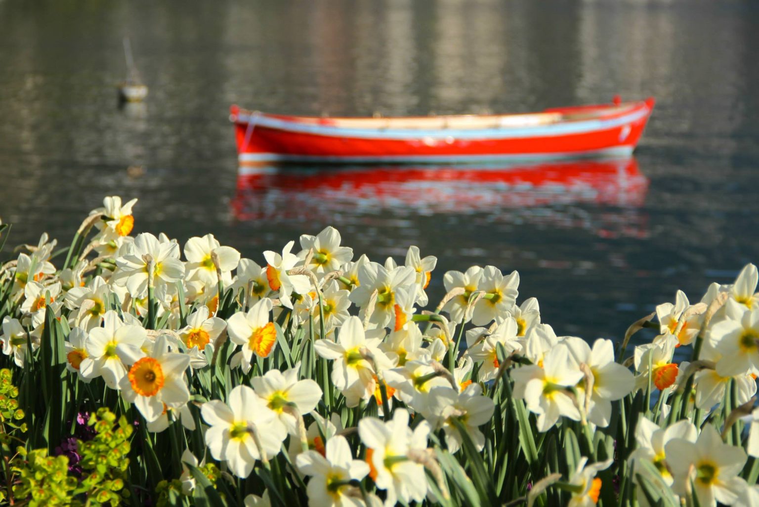 Discover Spring in Switzerland - Jan Adventures