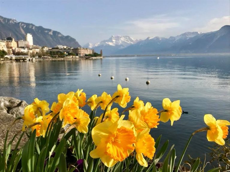 Discover Spring in Switzerland - Jan Adventures