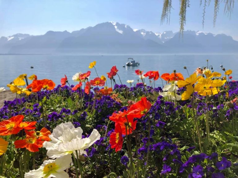 Discover Spring in Switzerland | Jan Adventures