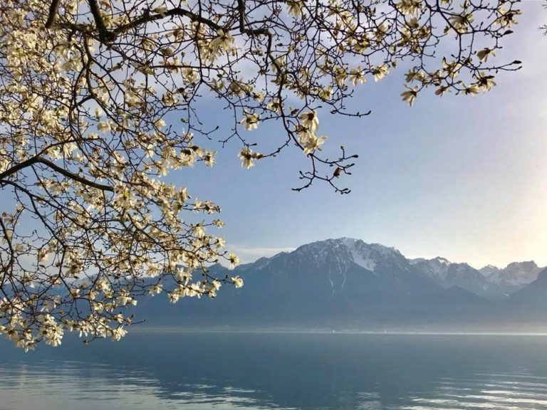Discover Spring in Switzerland - Jan Adventures