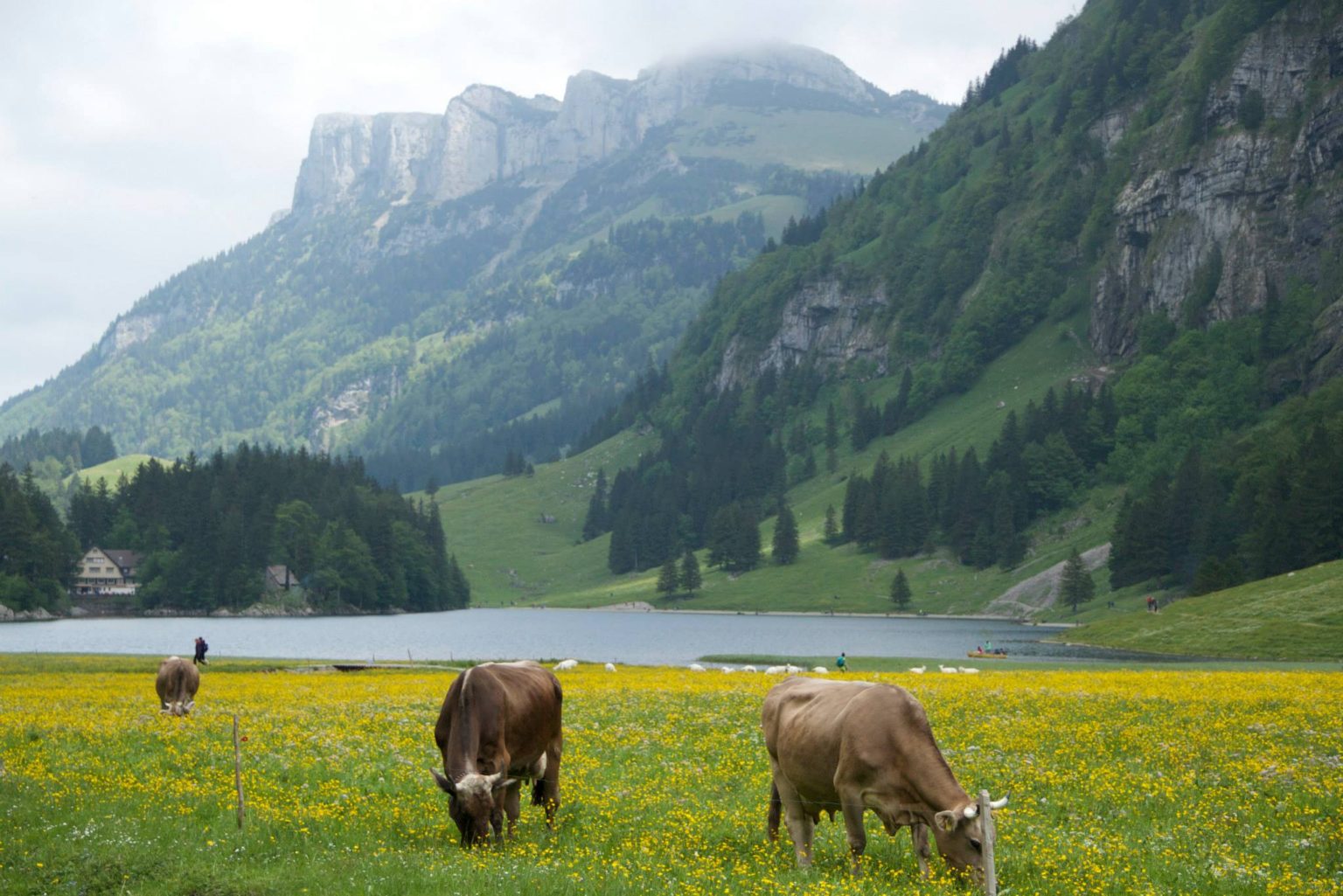 Best of Appenzell Switzerland - Jan Adventures