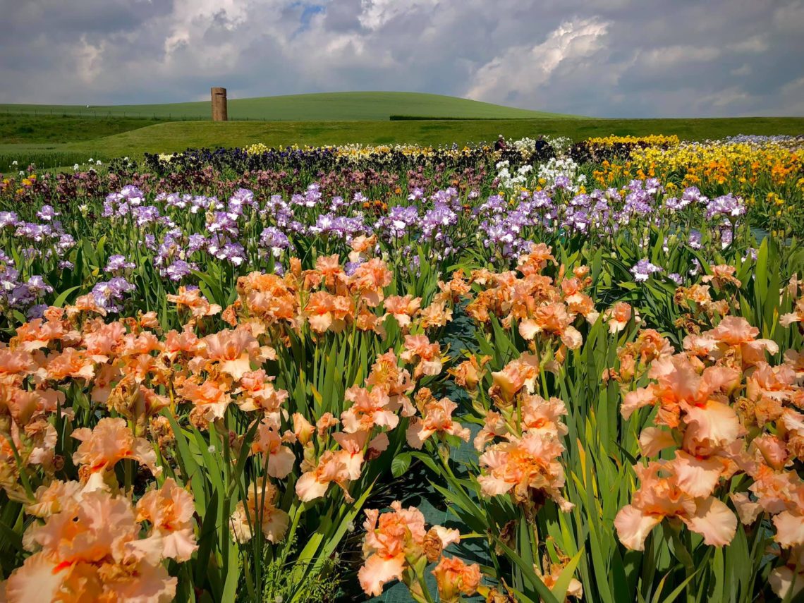 Discover Spring in Switzerland - Jan Adventures