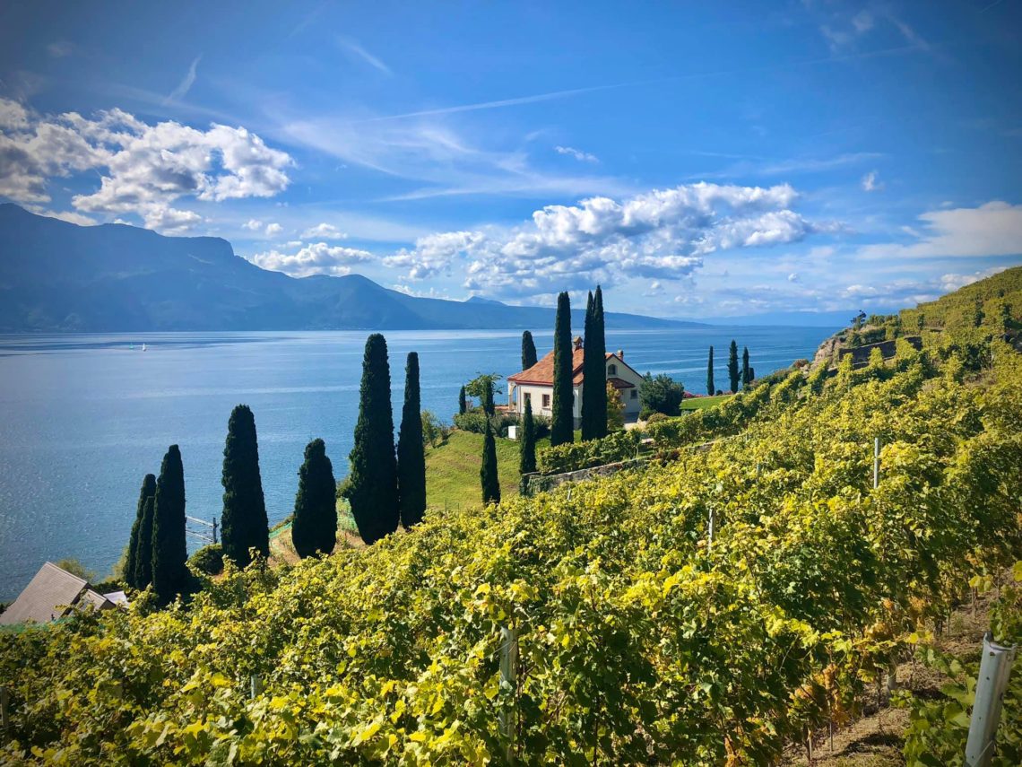 Awesome Autumn in the Swiss Vineyards - Jan Adventures