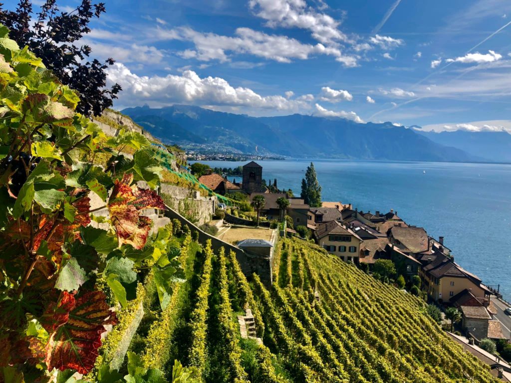 Awesome Autumn in the Swiss Vineyards - Jan Adventures