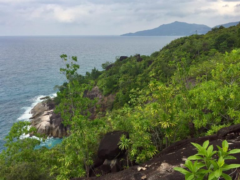 Warm Year-end Destinations in the Indian Ocean - Jan Adventures