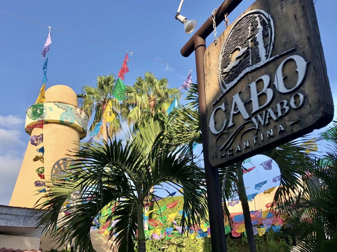 Why Go To Cabo San Lucas - Jan Adventures