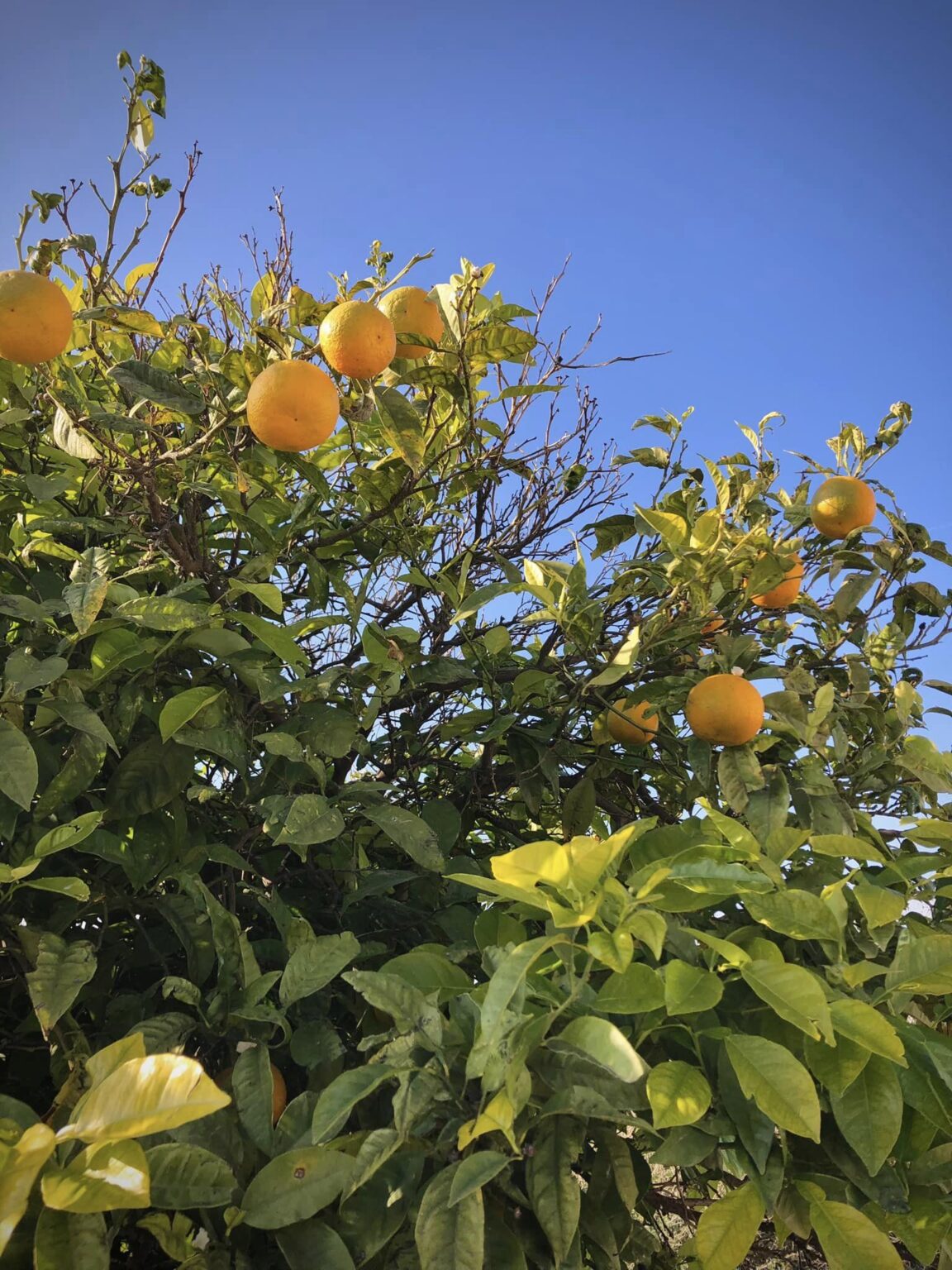 What To Do Near La Zenia Spain - Jan Adventures