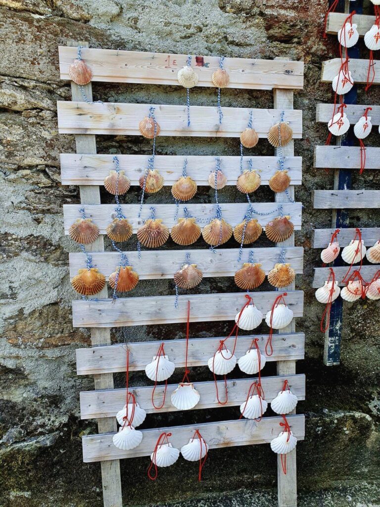 What to know for Camino de Santiago | Jan Adventures