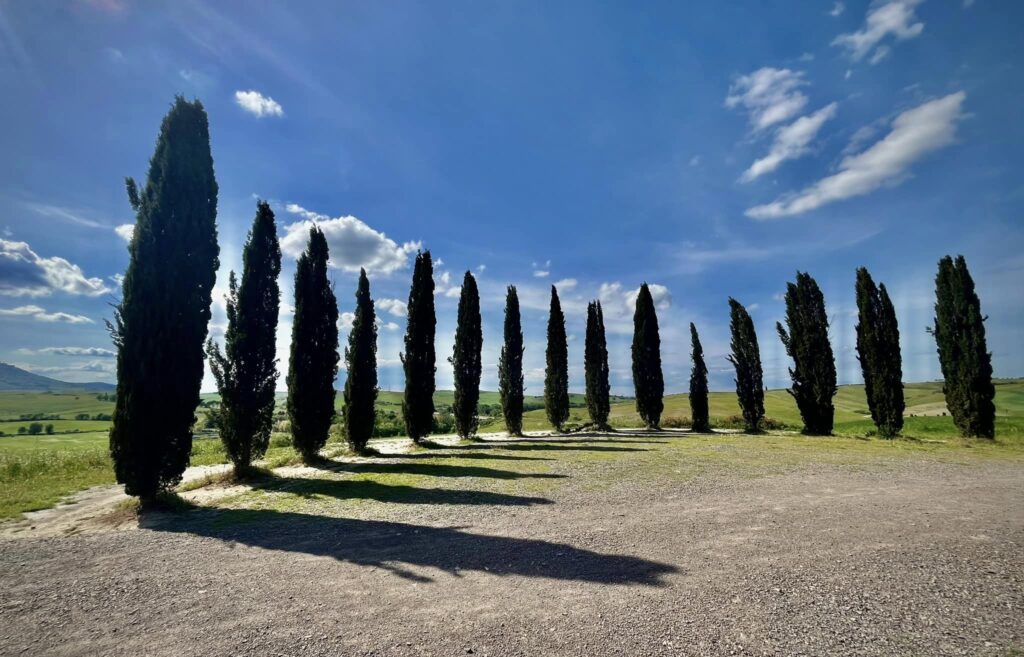 Best Photo Spots in Tuscany - Jan Adventures