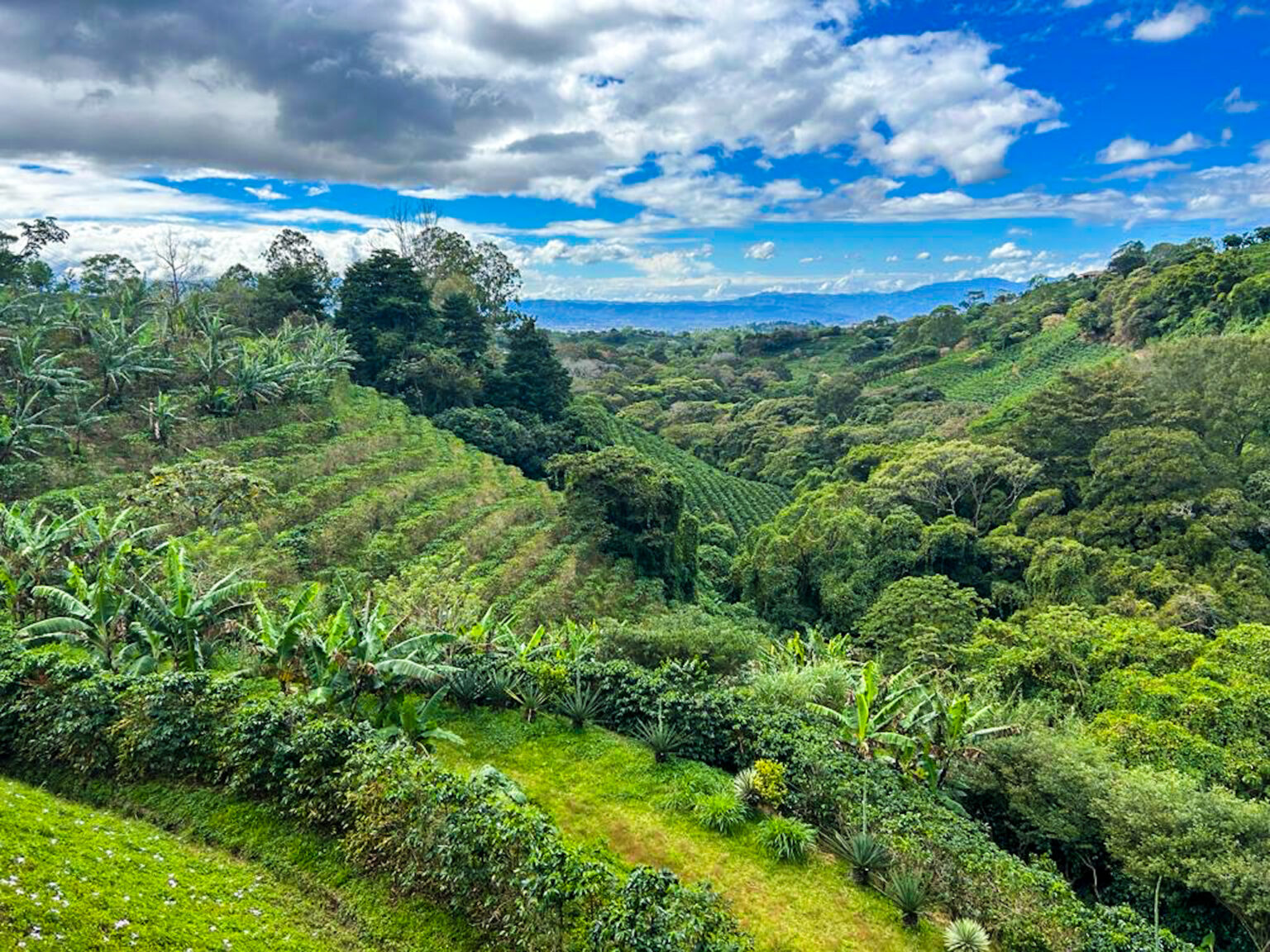 Best Year End Destinations - Jan Adventures